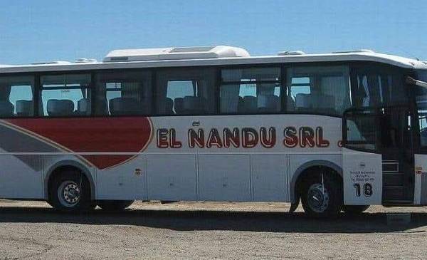 "El Ñandú" brindará un servicio especial para la fiesta de Telsen ...