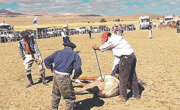 Fiestas populares en Aldea Epulef, Buen Pasto, Gastre y Esquel ...