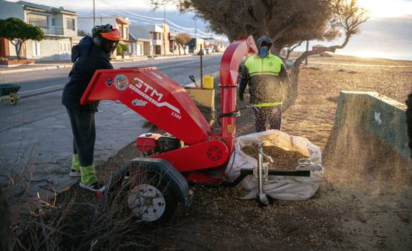 Municipio utiliza una máquina chipeadora para optimizar y reducir ...